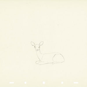 Walt Disney Rough Production Animation Cel Drawing or Study of a Deer ...
