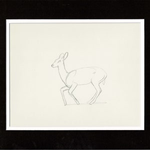 Walt Disney Rough Production Animation Cel Drawing or Study of a Deer ...