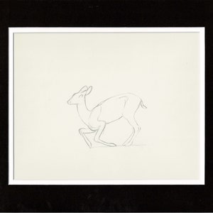 Walt Disney Rough Production Animation Cel Drawing or Study of a Deer ...