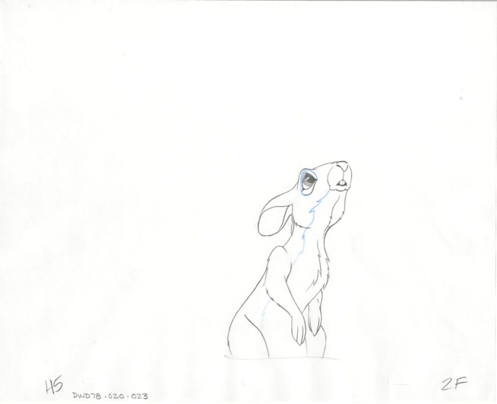 Watership Down 1978 Production Animation Cel Drawing With - Etsy