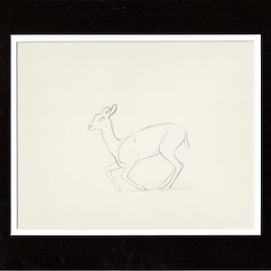 Walt Disney Rough Production Animation Cel Drawing or Study of a Deer ...