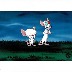 Pinky and the Brain Production Cel Setup From Steven Spielberg 1995-98 ...