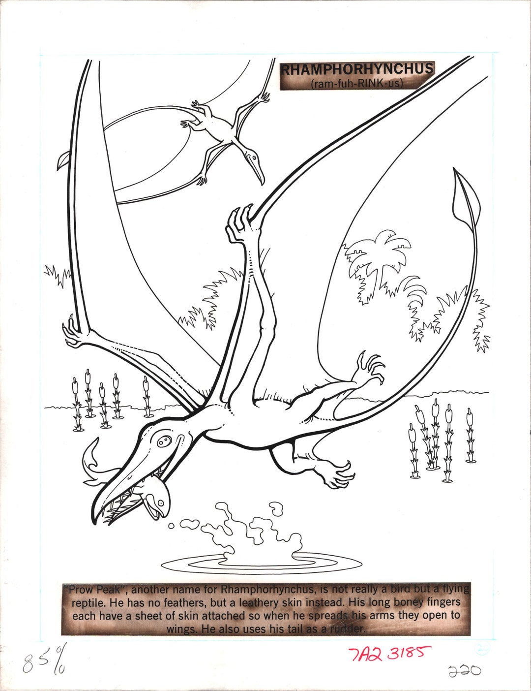 Dinosaurs Coloring Book Page Hand-inked Illustration Drawing From ...