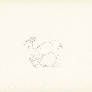 Walt Disney Rough Production Animation Cel Drawing or Study of a Deer ...