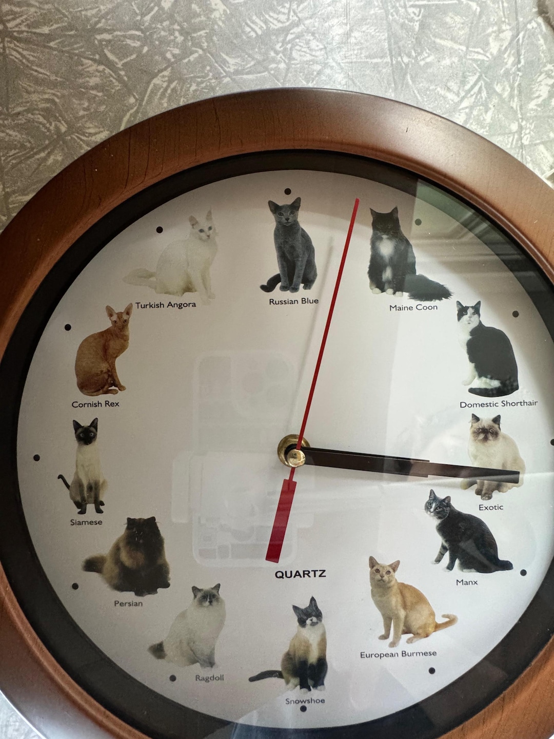 2000s Cat Breed Quartz Wall Clock – 28 Cm (11") Diameter – Working – 12 ...
