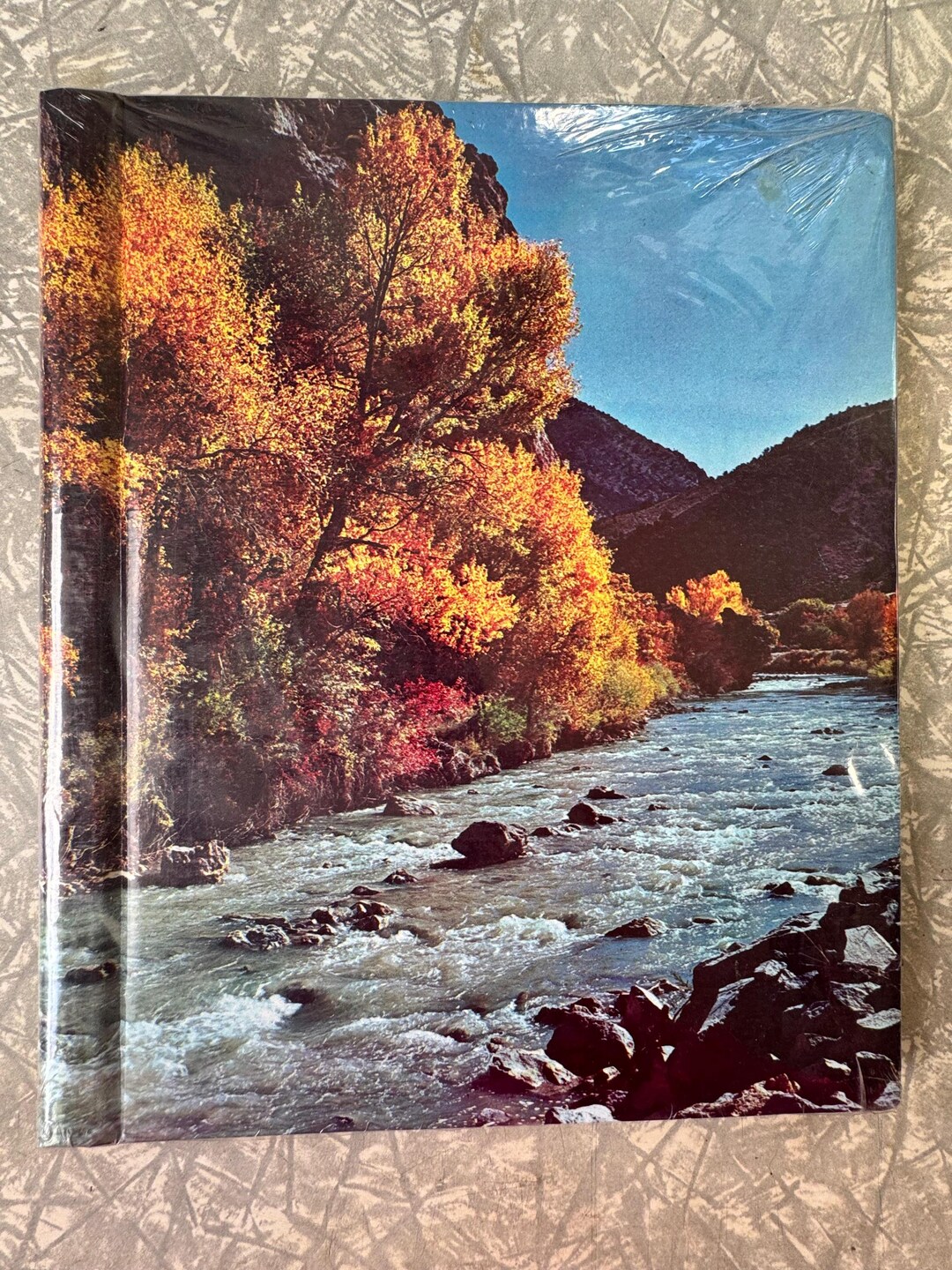 1990s Vintage Landscape Photo Album – Autumn Forest & River Design – 27 ...
