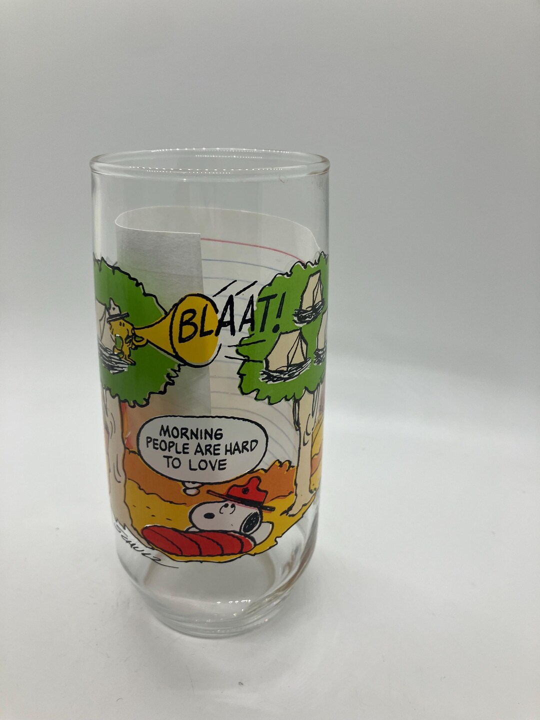 Peanuts Camp Snoopy “morning People Are Hard to Love” Glass, One Glass ...