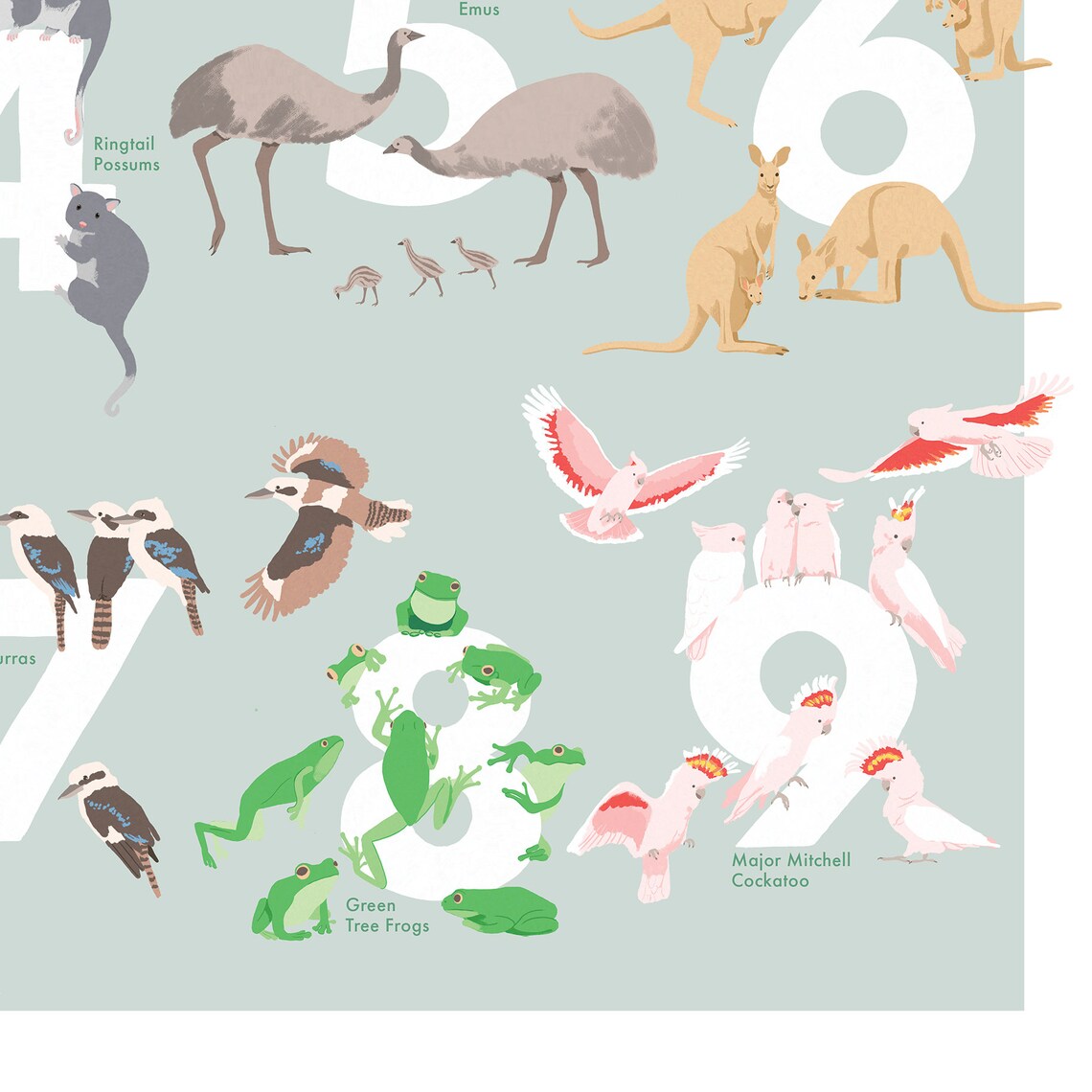 Printable Numbers Poster Australian Animal Digital Download | Etsy