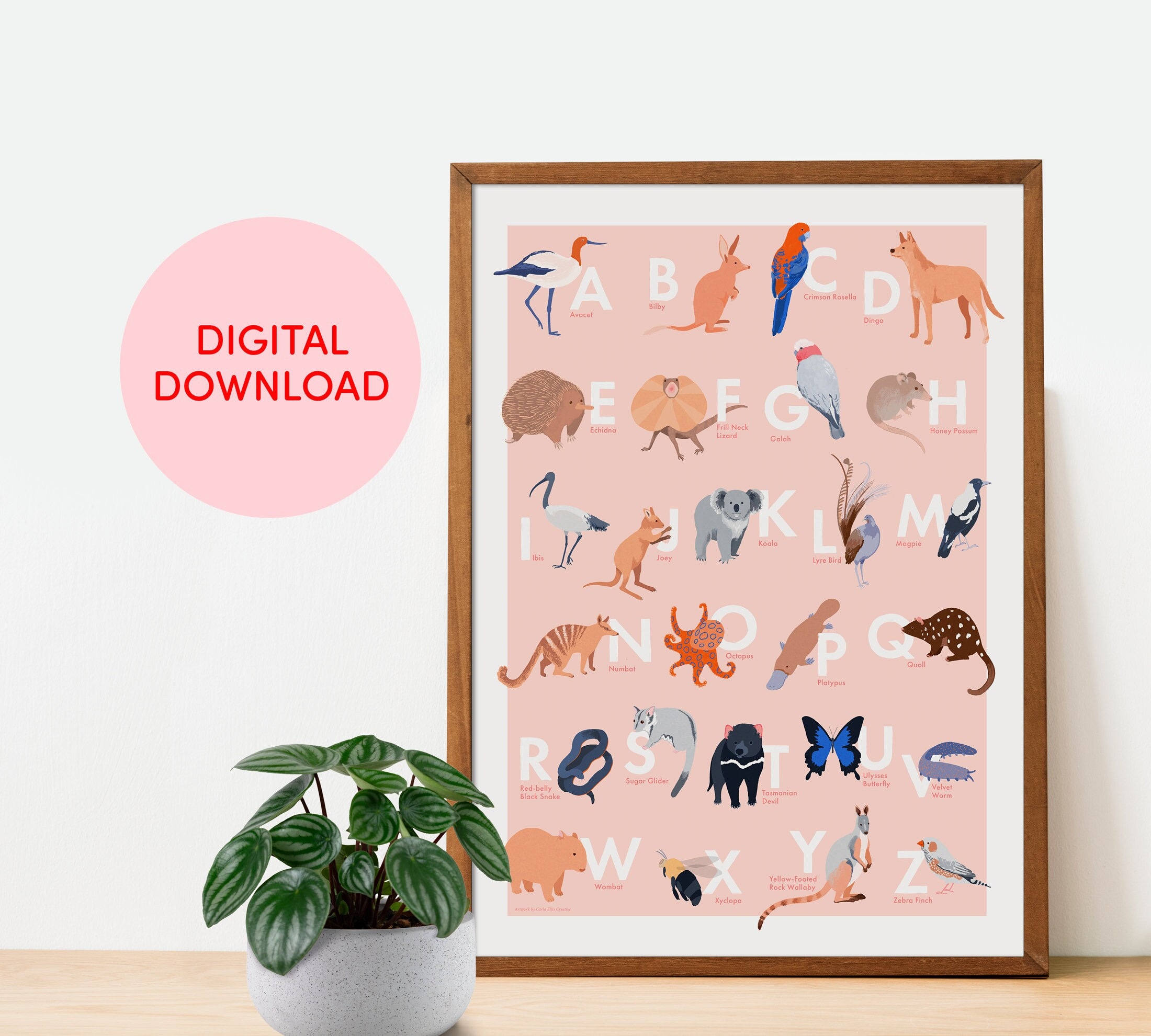 Printable Alphabet Poster Australian Animal Digital Download - Etsy