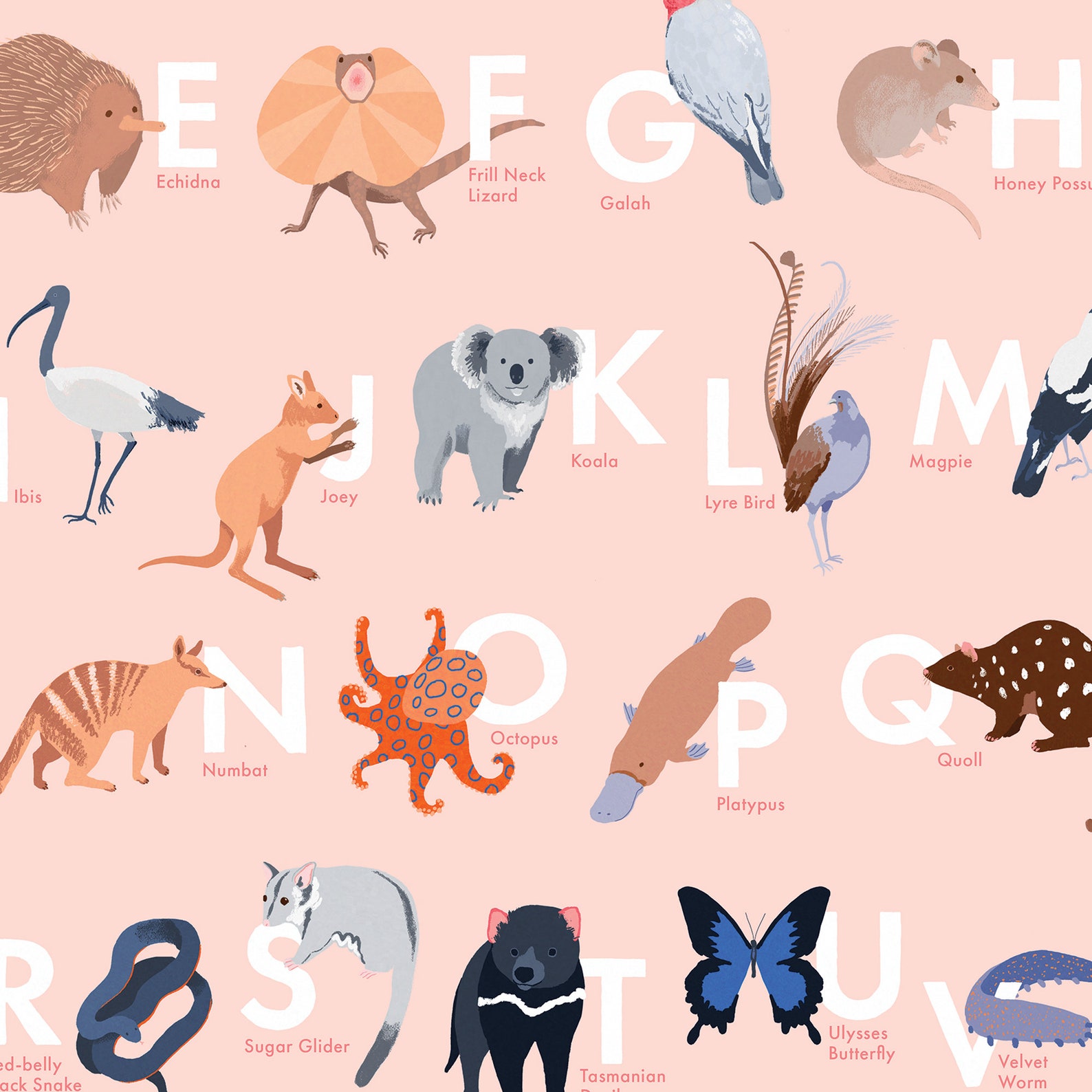 Printable Alphabet Poster Australian Animal Digital Download - Etsy