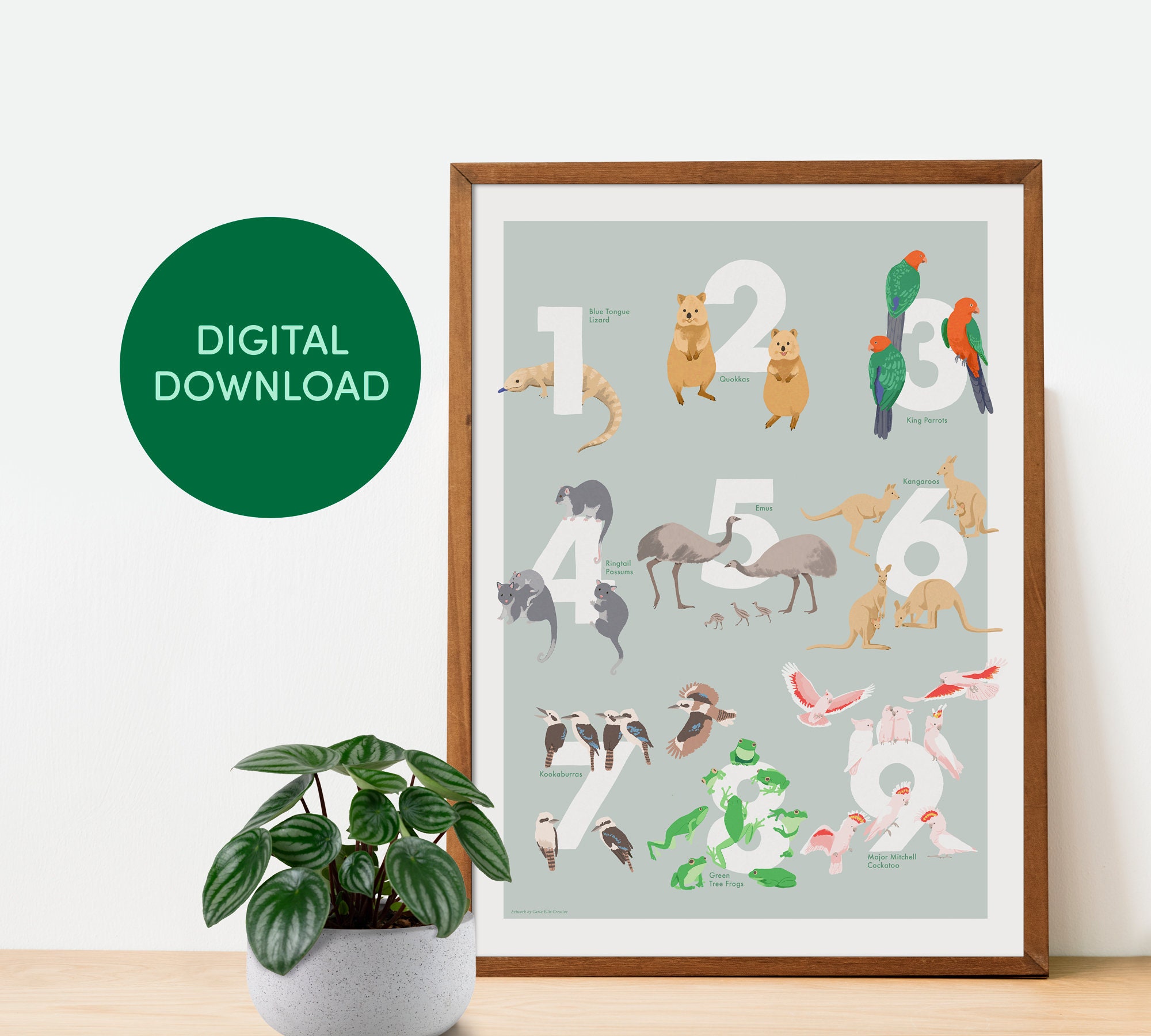 Printable Numbers Poster Australian Animal Digital Download - Etsy