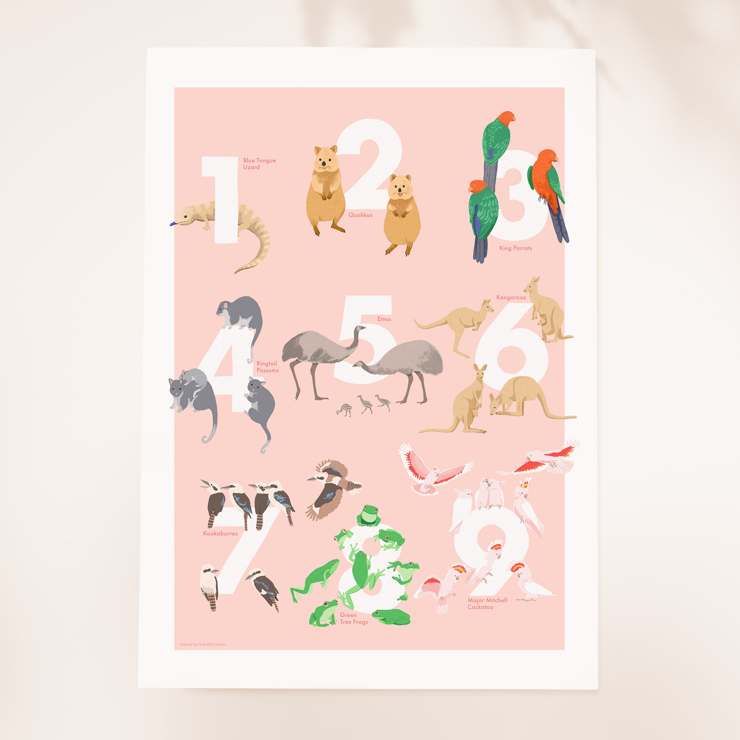 Printable Numbers Poster Australian Animal Digital Download - Etsy