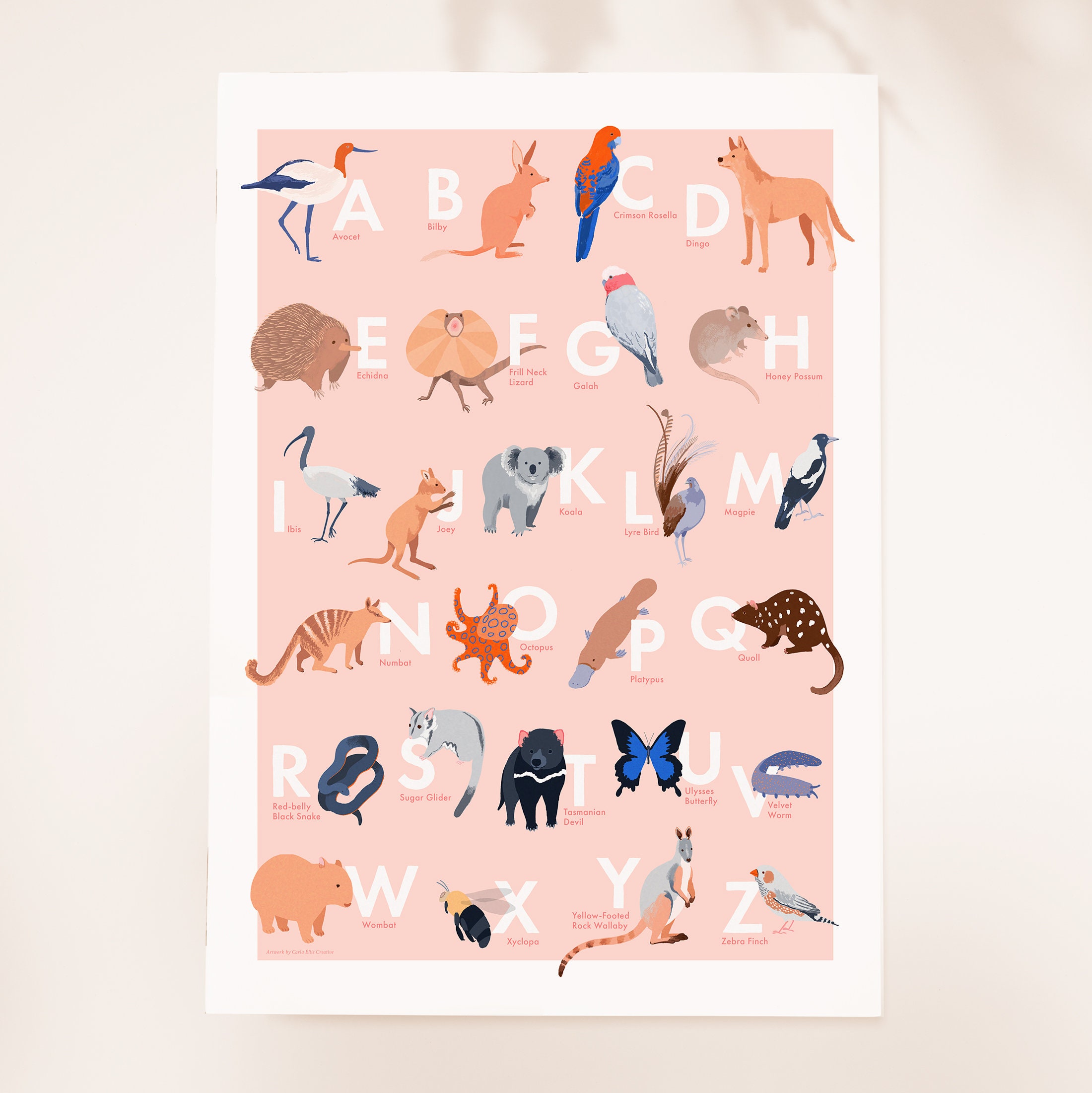 Printable Alphabet Poster Australian Animal Digital Download - Etsy