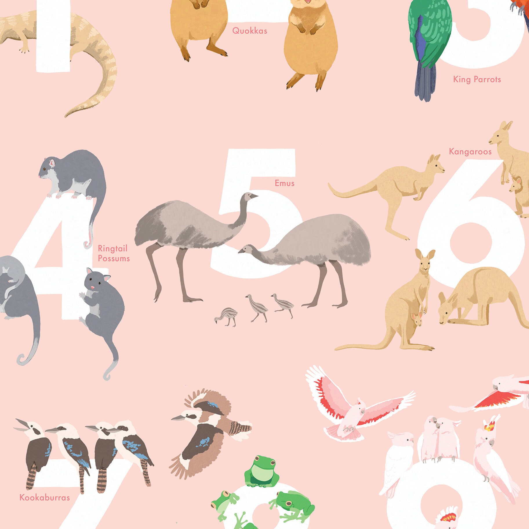 Printable Numbers Poster Australian Animal Digital Download | Etsy ...