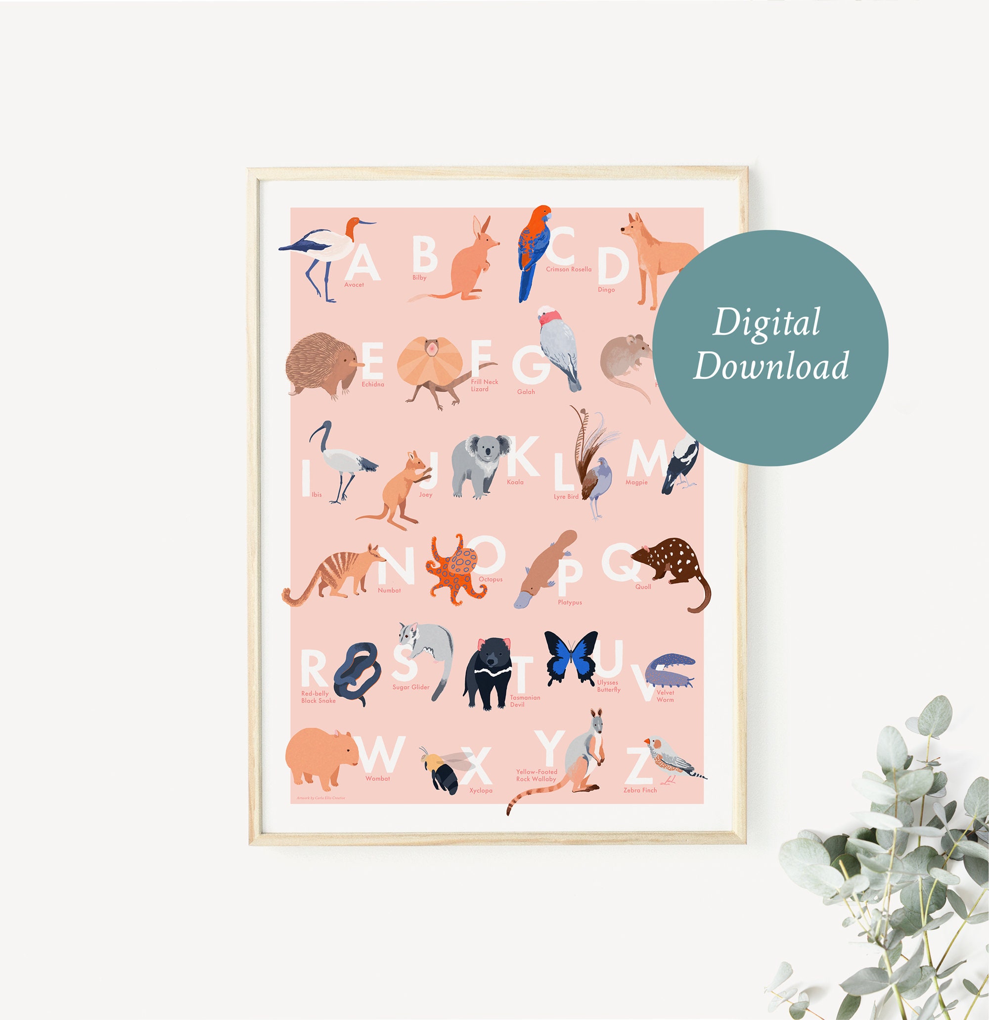 Printable Alphabet Poster Australian Animal Digital Download - Etsy ...