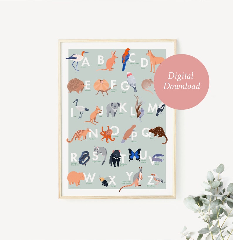 Printable Alphabet Poster Australian Animal Digital Download - Etsy