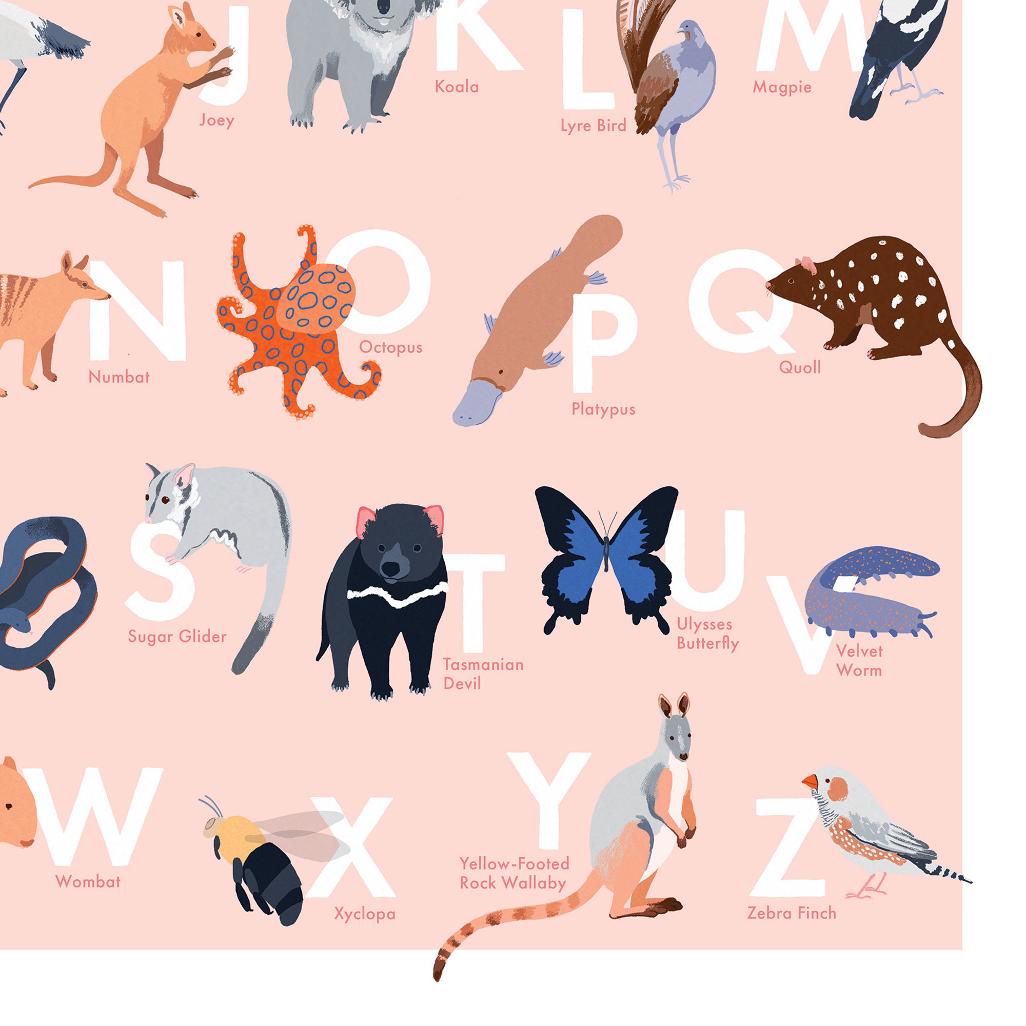 Printable Alphabet Poster Australian Animal Digital Download - Etsy ...