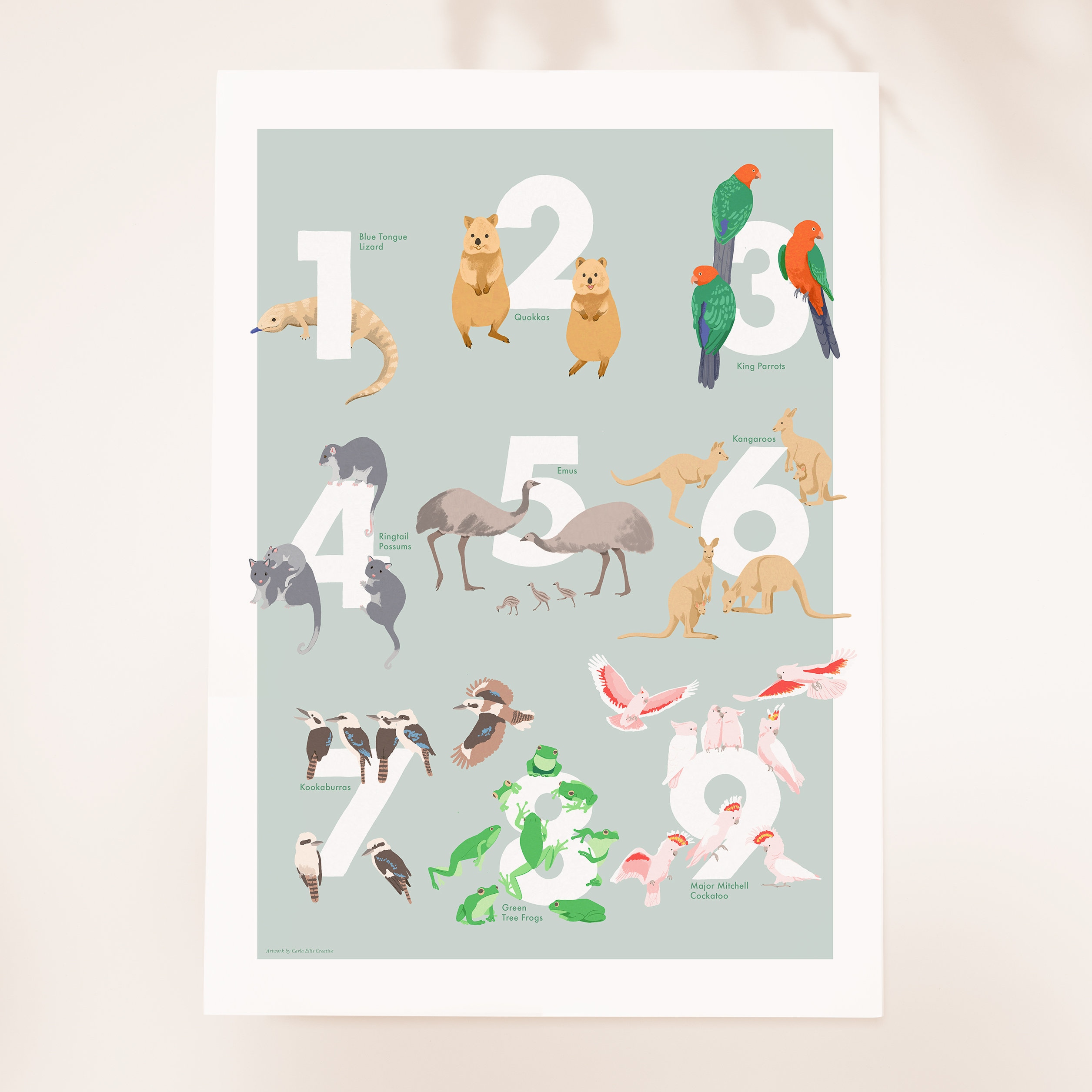 Printable Numbers Poster Australian Animal Digital Download - Etsy