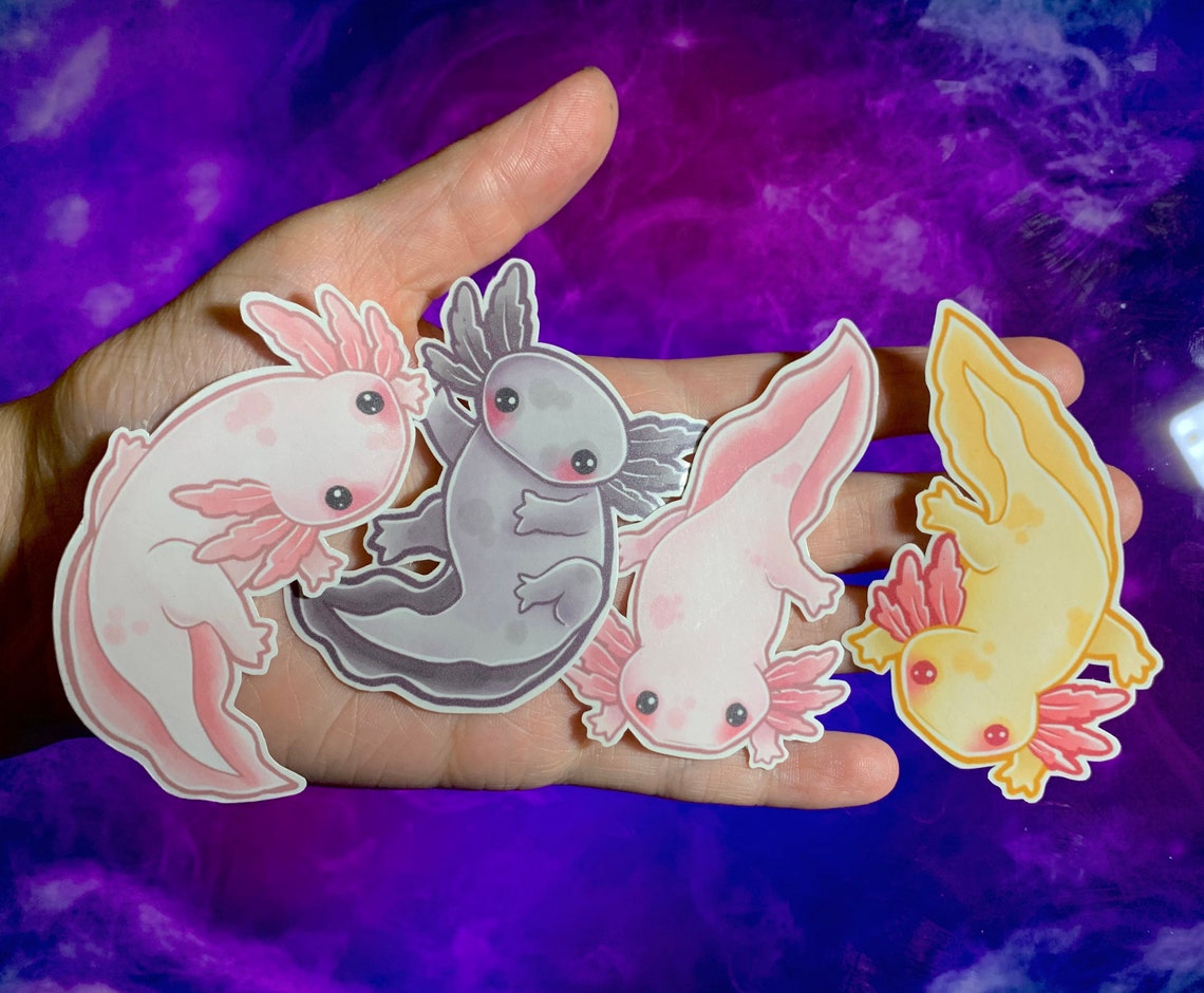 Axolotl sticker pack | Etsy