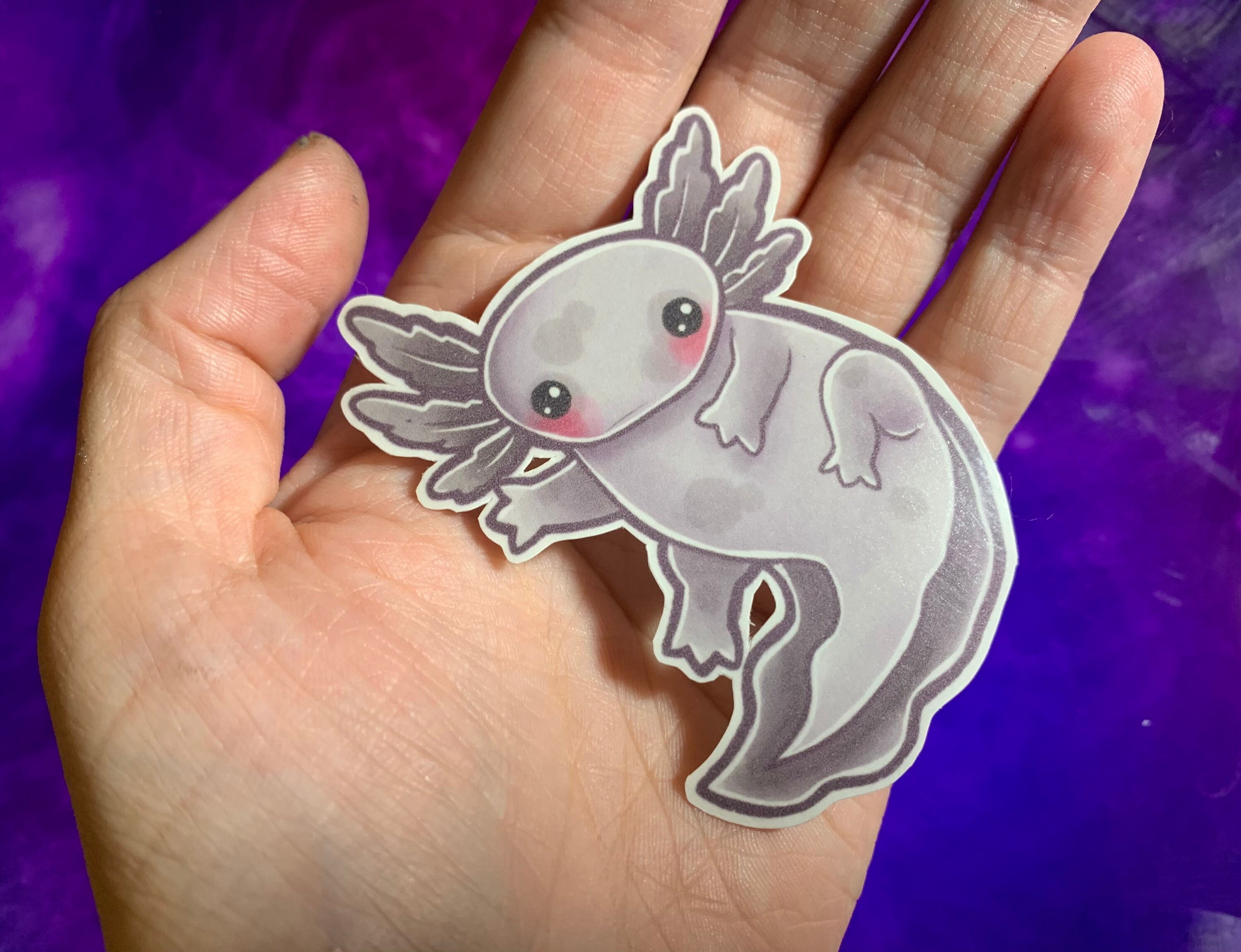Axolotl Sticker Pack - Etsy