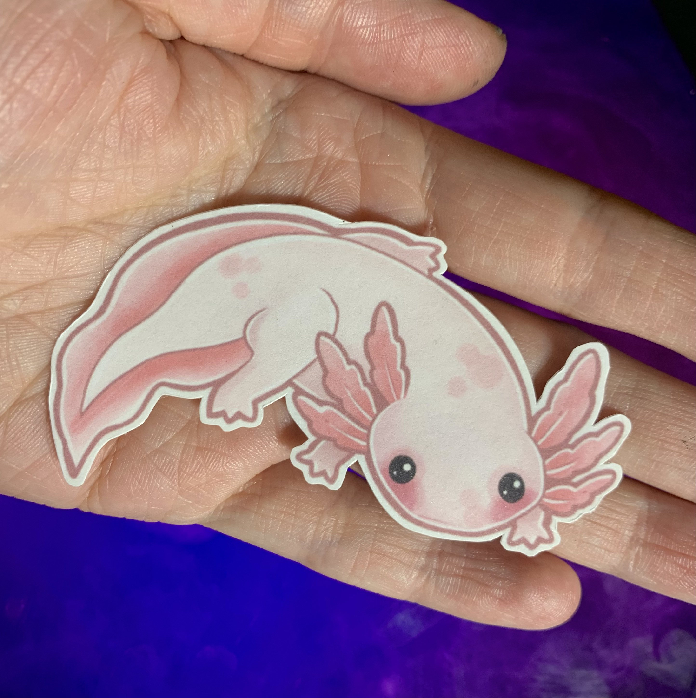 Axolotl Sticker Pack - Etsy