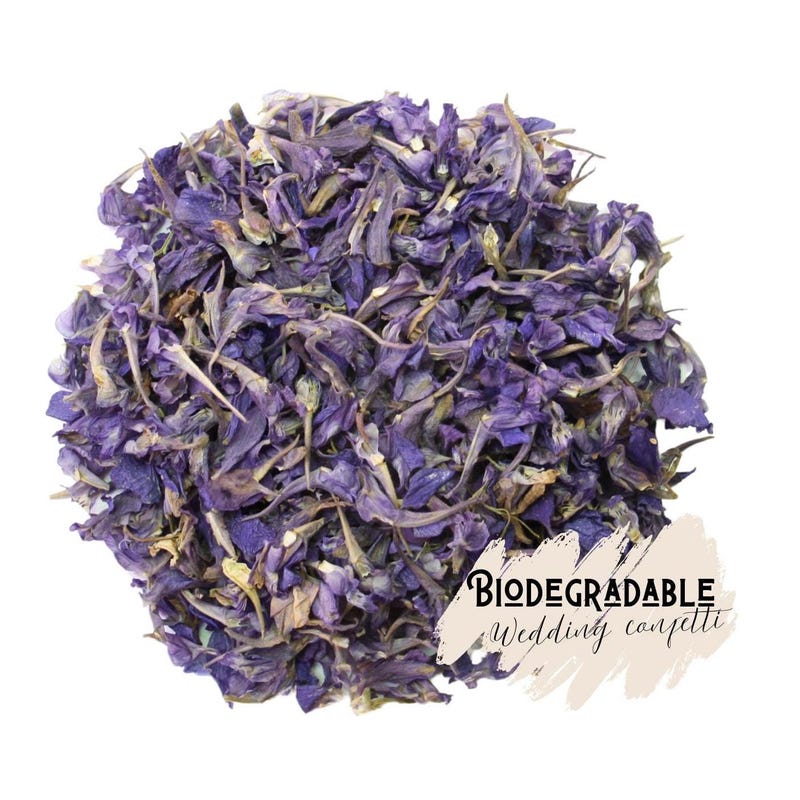 Purple Confetti - Etsy
