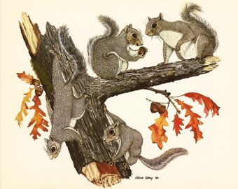Eastern Chipmunk Gene Gray Vintage Art Card Old Stock - Etsy