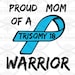 Trisomy 18 Awareness Shirt,down Syndrome Awareness Shirt,t18 Light Blue ...