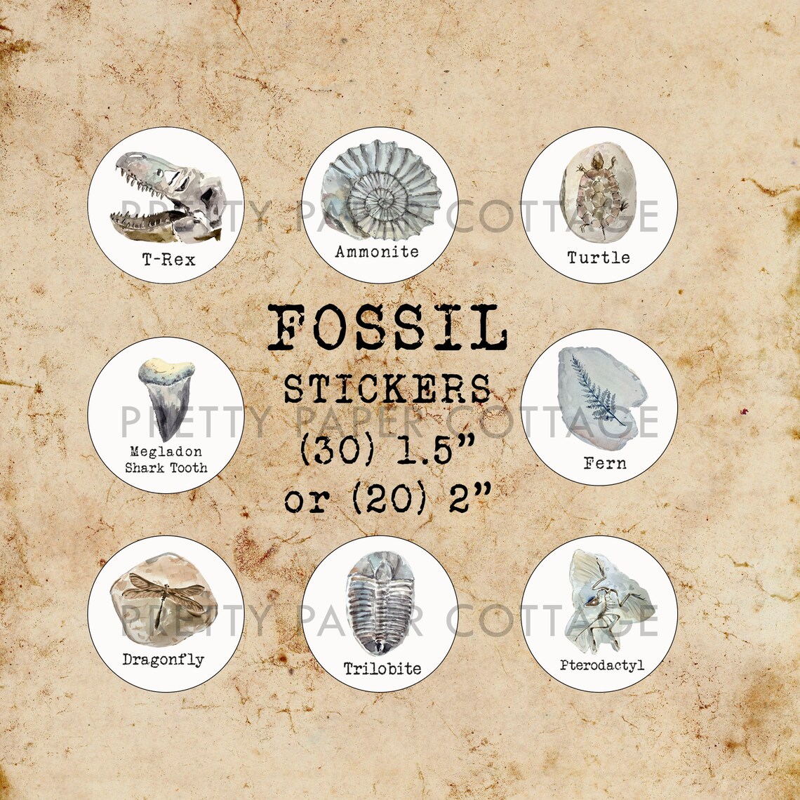 Fossil Stickers: Dinosaur, Geology, Archeology Party Favors - Etsy