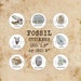 Fossil Stickers: Dinosaur, Geology, Archeology Party Favors - Etsy