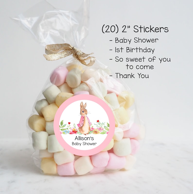 Peter Rabbit Flopsy Rabbit Stickers Girl Baby Shower - Etsy