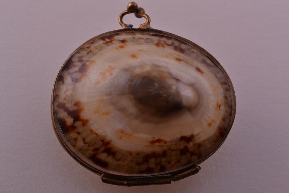 Shell Victorian Thimble Holder 888b - Etsy