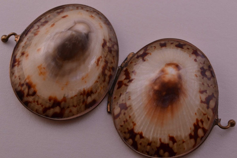 Shell Victorian Thimble Holder 888b - Etsy