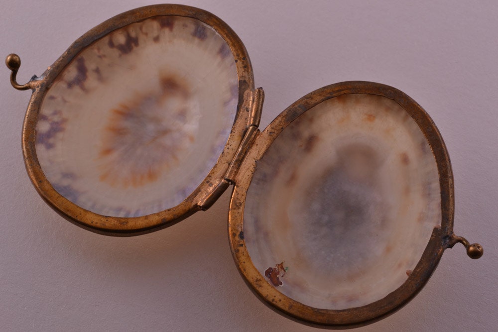 Shell Victorian Thimble Holder 888b - Etsy