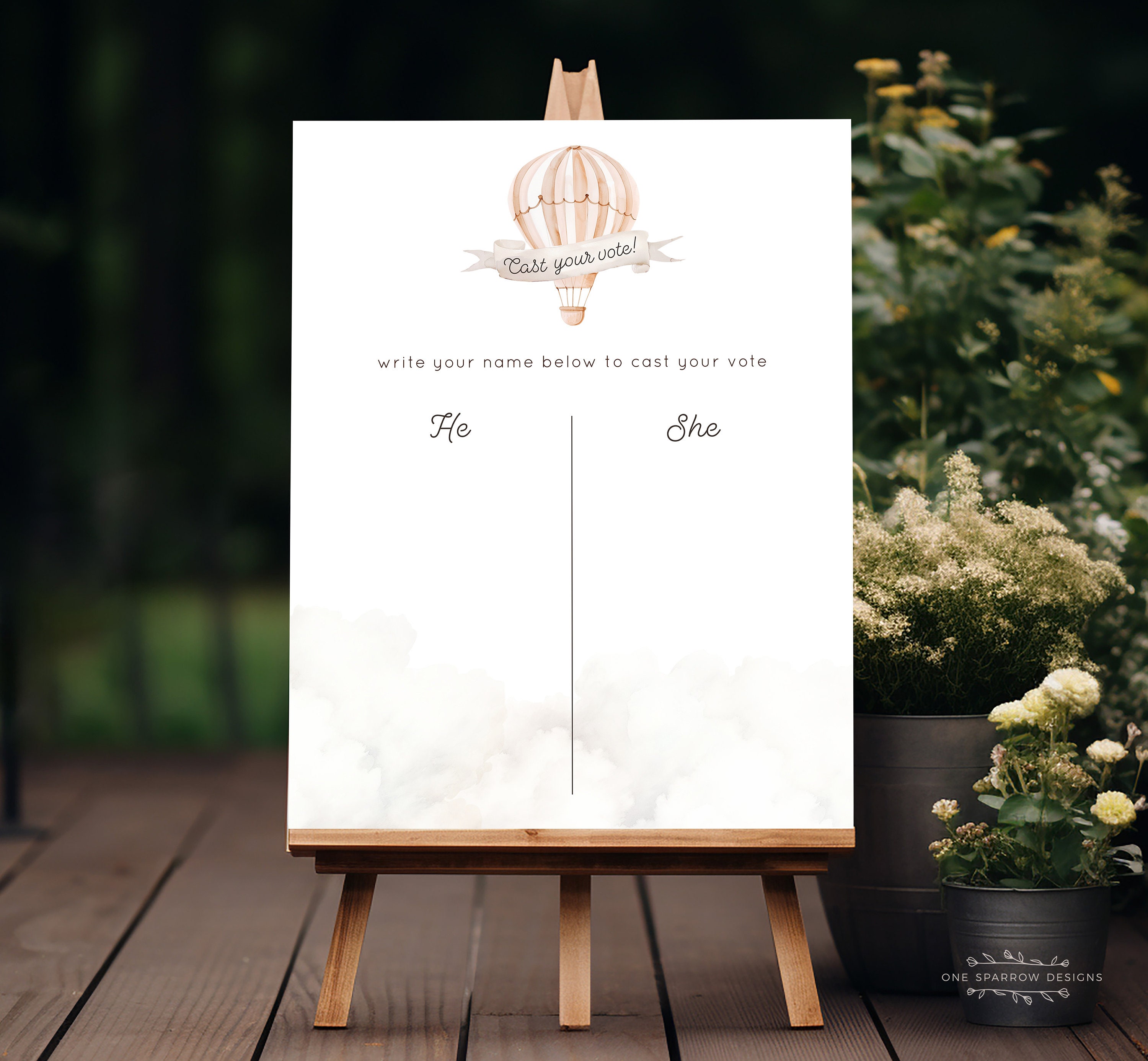 Up in the Air Gender Reveal Vote Board, Digital, Editable, Hot Air ...