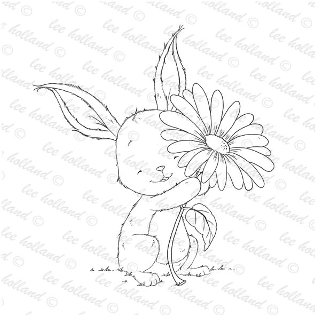 Bunny Holding Flower - Etsy