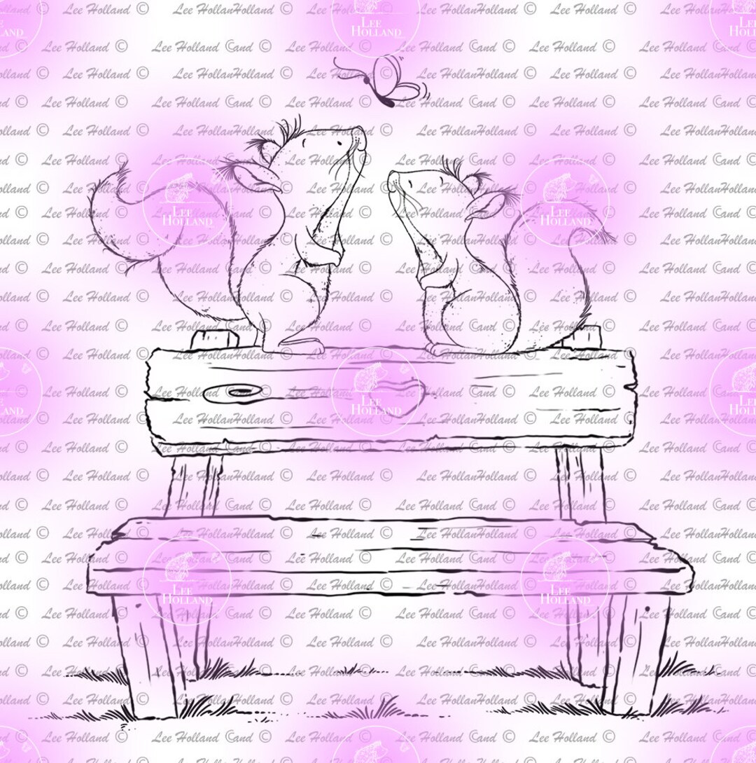 Squirrels on Bench, Card Making, Digi, Colouring - Etsy