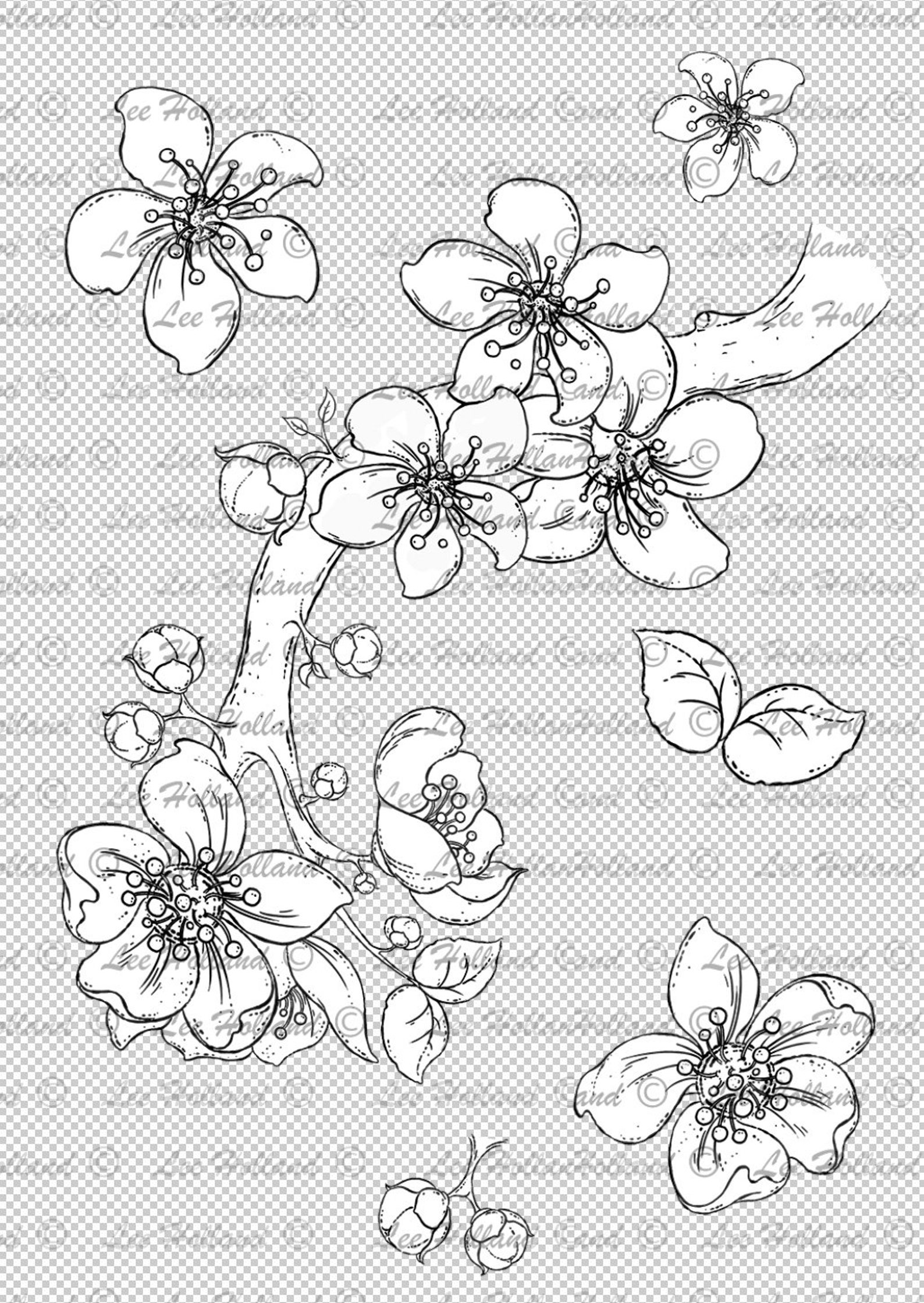 Blossom Flower Digital Stamp Card Making Digi Stamp - Etsy