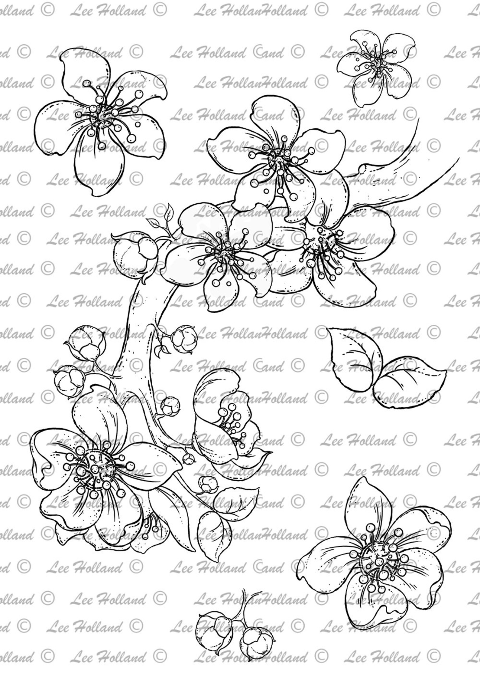 Blossom Flower Digital Stamp Card Making Digi Stamp - Etsy