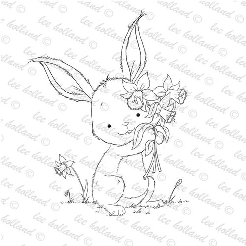 Digital Stamps Squirrel With Robin Card Making Colouring - Etsy