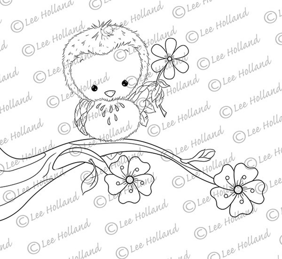 Digital Stamp, Owl With Flower, Card Making, Digi - Etsy