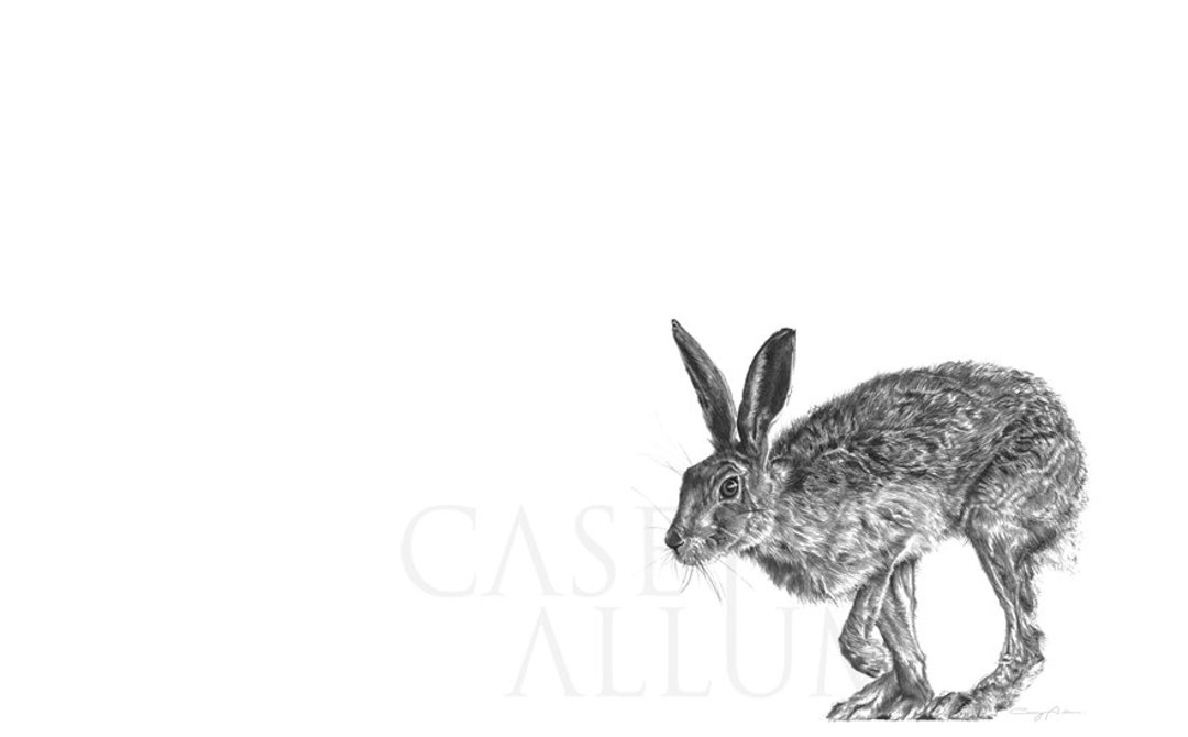 Hare Portrait Art Print, Limited Edition Framed in Oak - Etsy