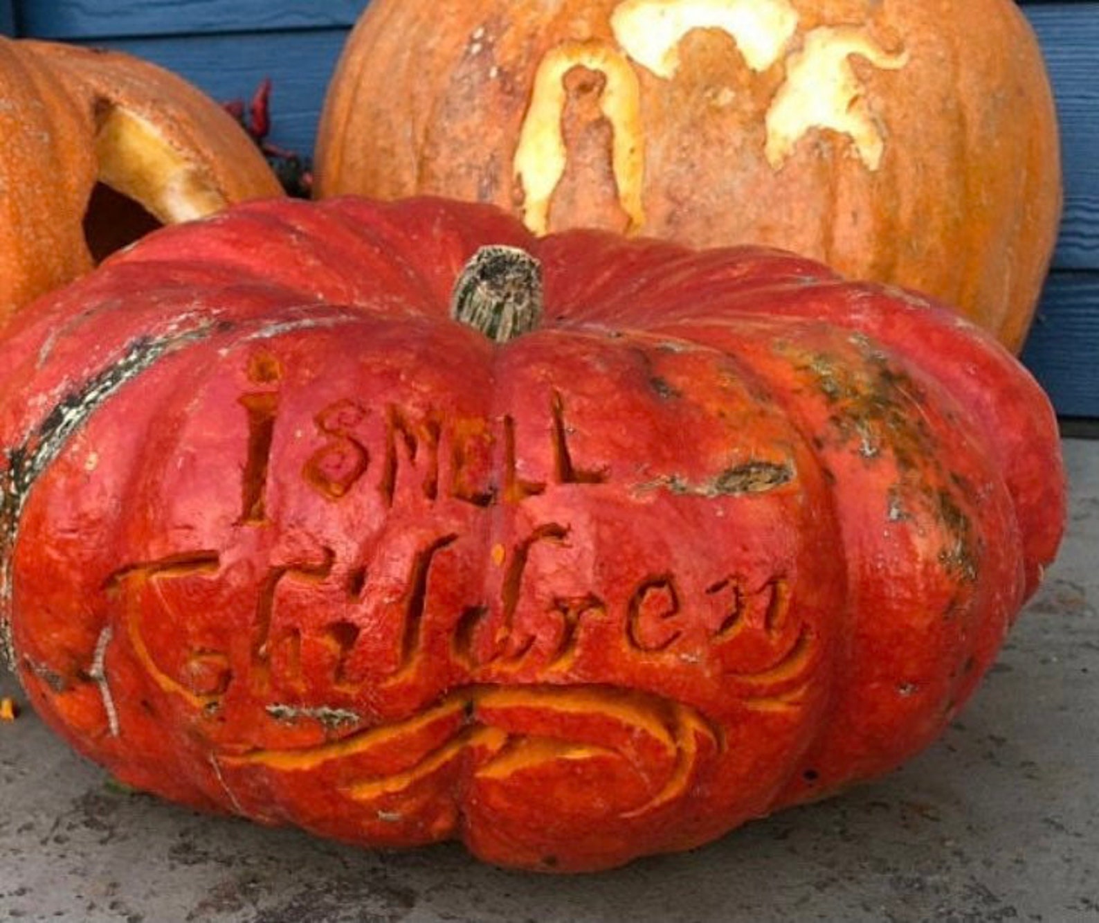 Hocus Pocus Pumpkin Carving Patterns Printable PDF - Etsy UK