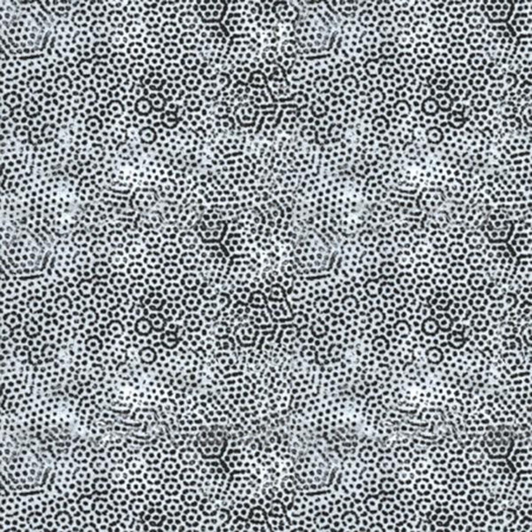 Dimples AK - Andover Blender - Black & White - by the Half Yard - Etsy