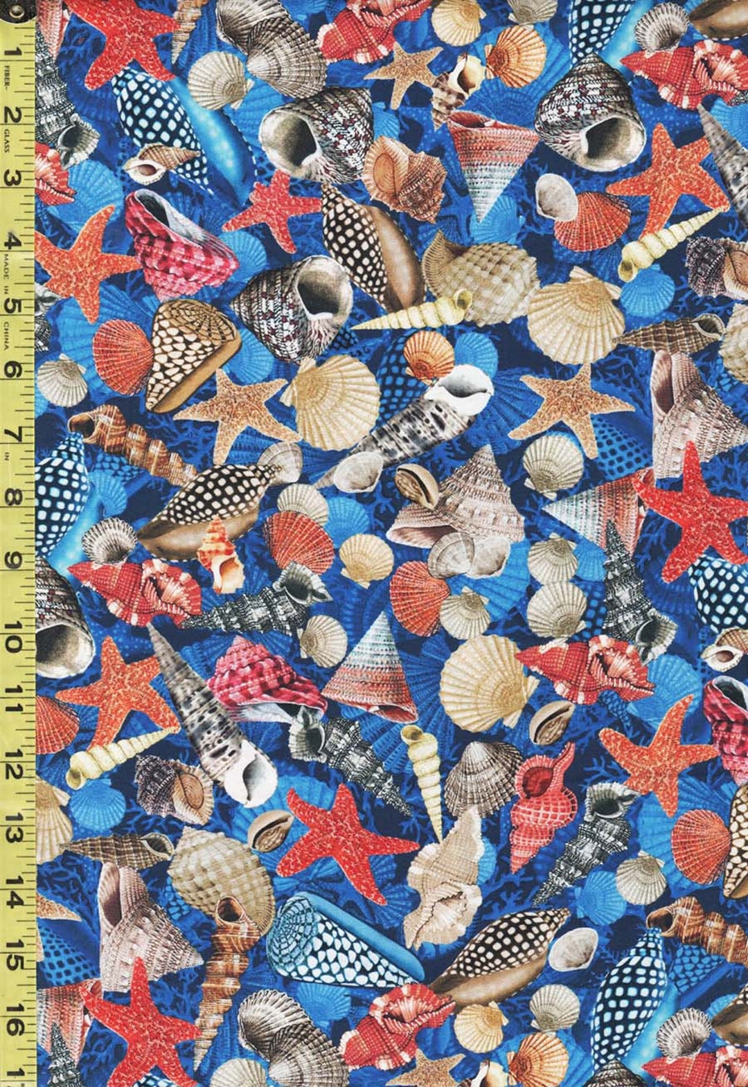 Tropical - Jewels of the Sea - Colorful Seashell Mix - DCX11124-COBA-D ...