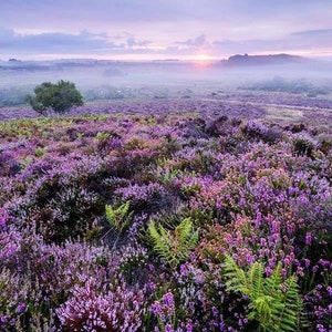 30wt HANAYAMA LANDSCAPE Daruma 30wt Hand Sewing Thread - Etsy