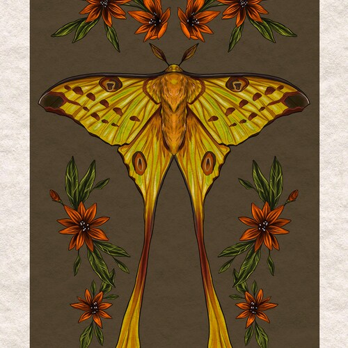 Art Nouveau/deco Butterfly Digital Art Print 11x17 Inches - Etsy