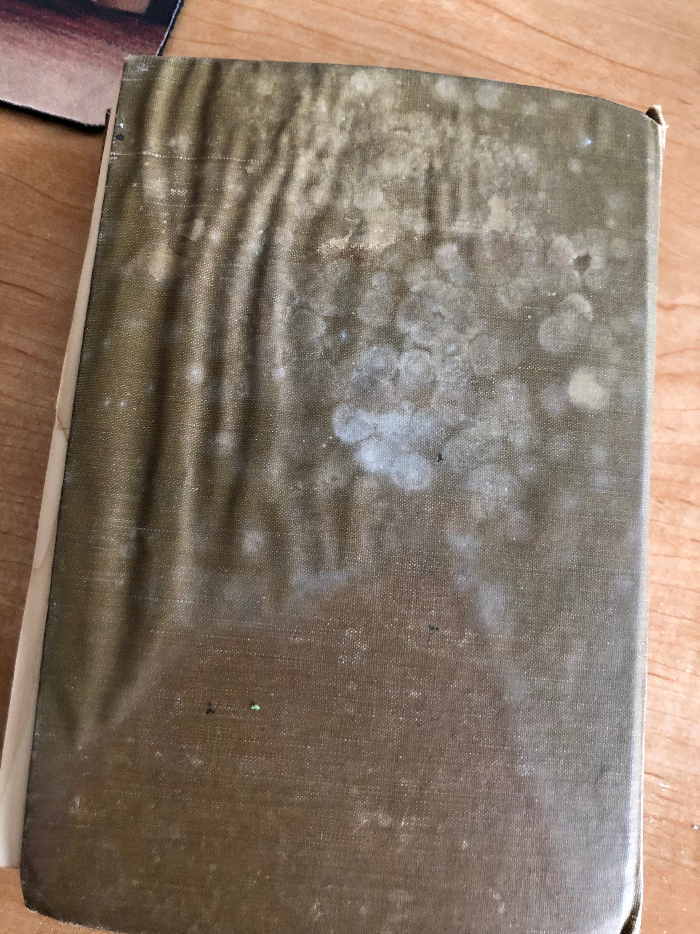 110 Year Old Book! - Etsy