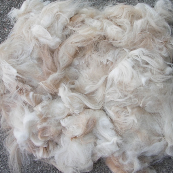 Angora Fiber - Etsy