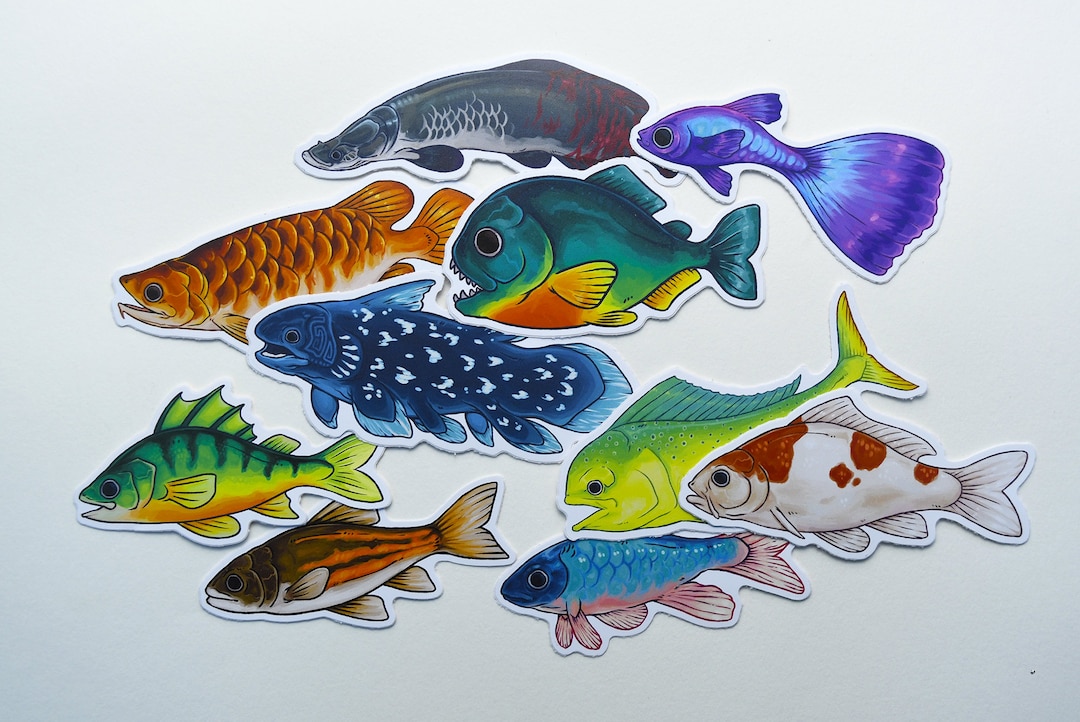 Fish Stickers Coelacanth Koi Arapaima Arowana Marine Biology Nature ...